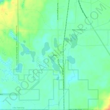 Bitely topographic map, elevation, terrain