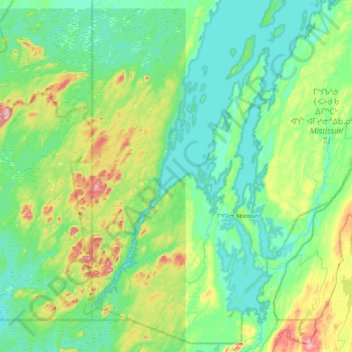 Mistissini (village) topographic map, elevation, terrain