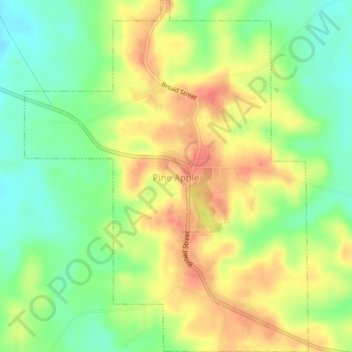 Pine Apple topographic map, elevation, terrain
