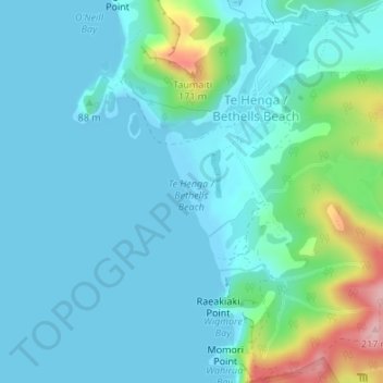 Bethells Beach topographic map, elevation, terrain